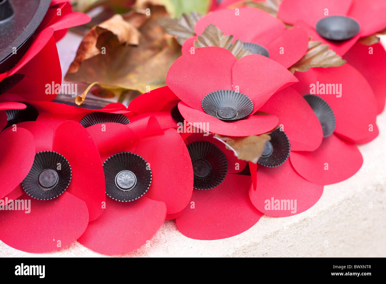 Poppy wreath hi-res stock photography and images - Alamy