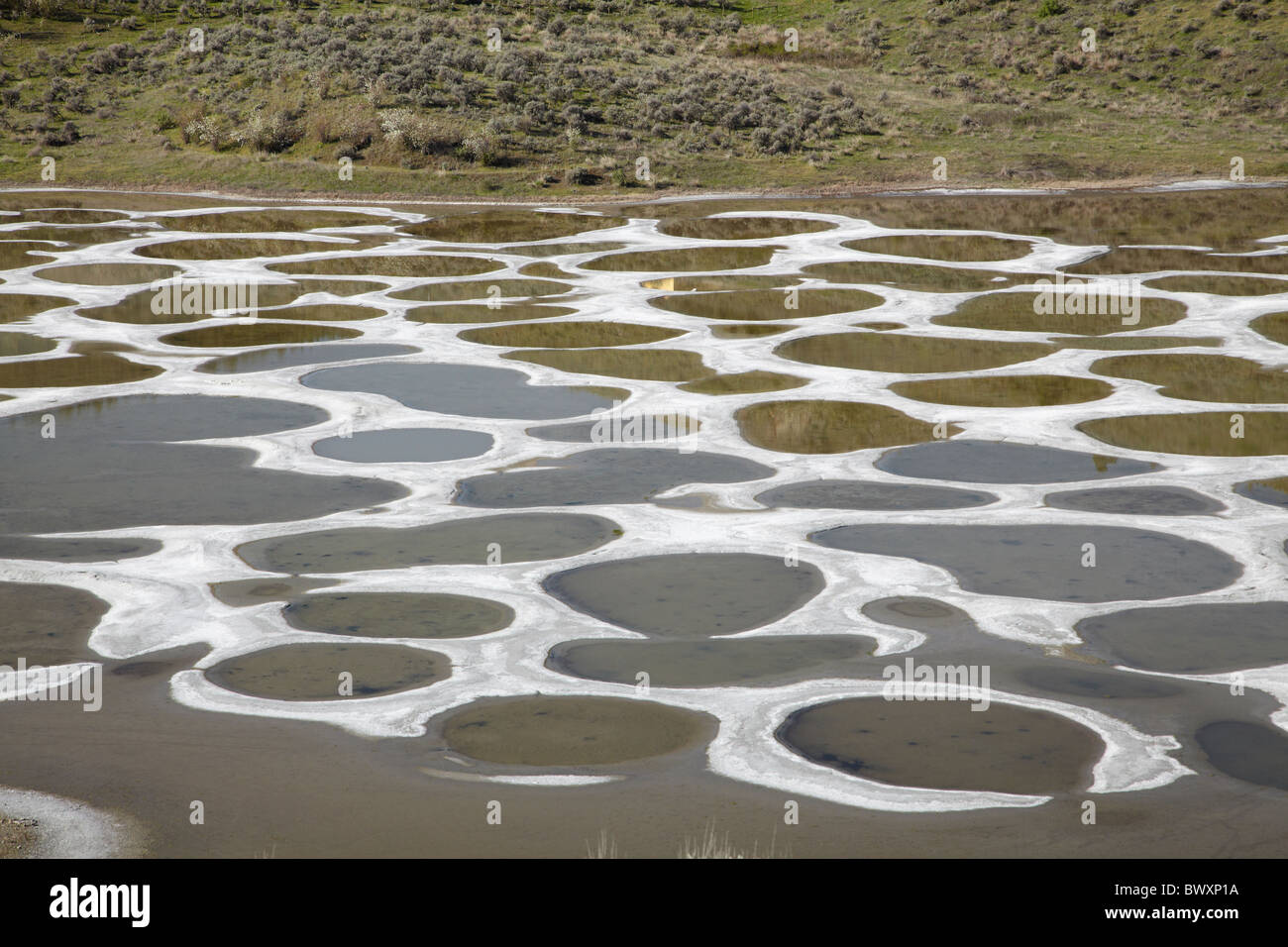 Spotted Lake High Resolution Stock Photography and Images - Alamy