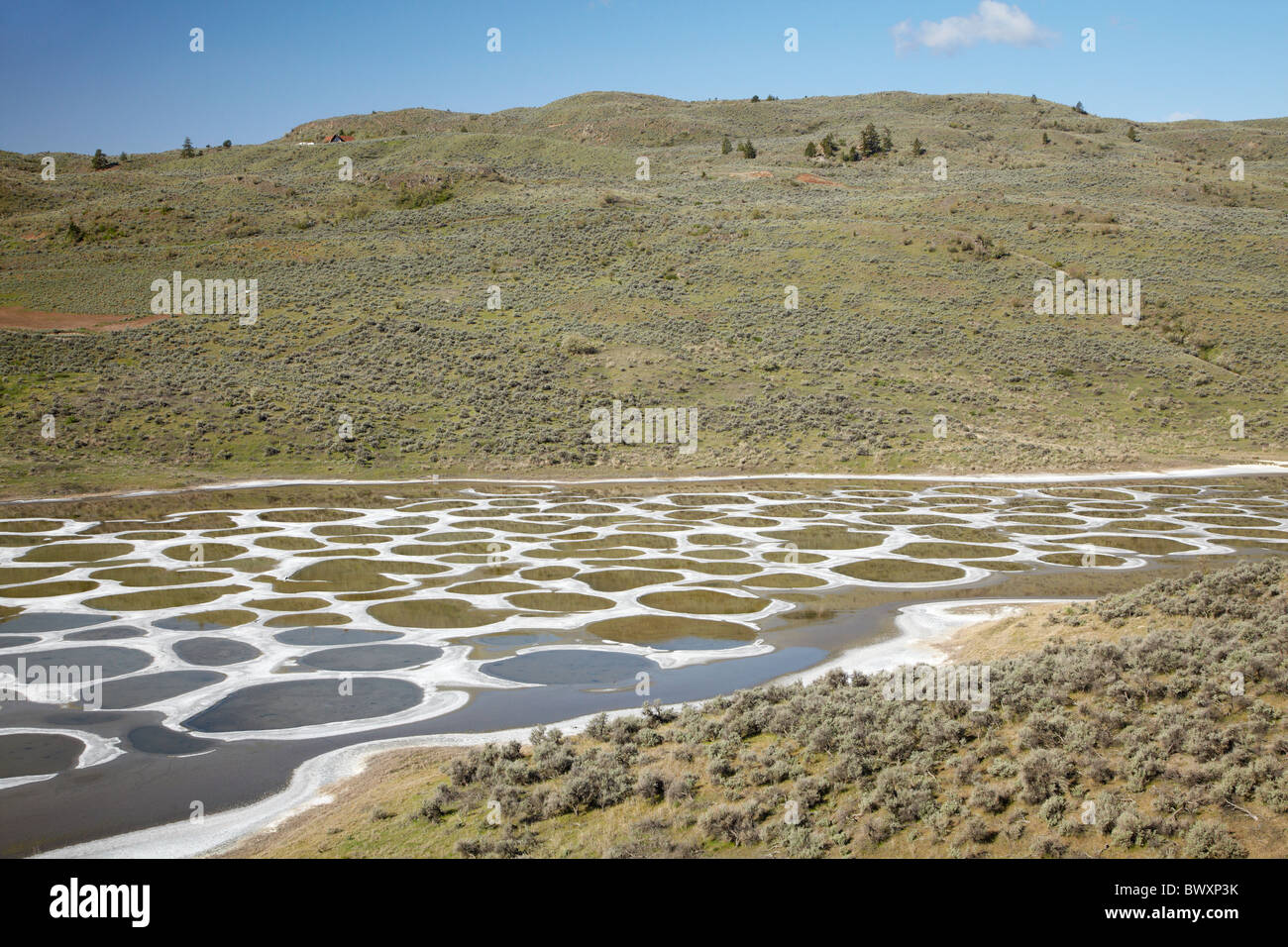 Canada british columbia canada okanagan spotted lake alkali lake ...