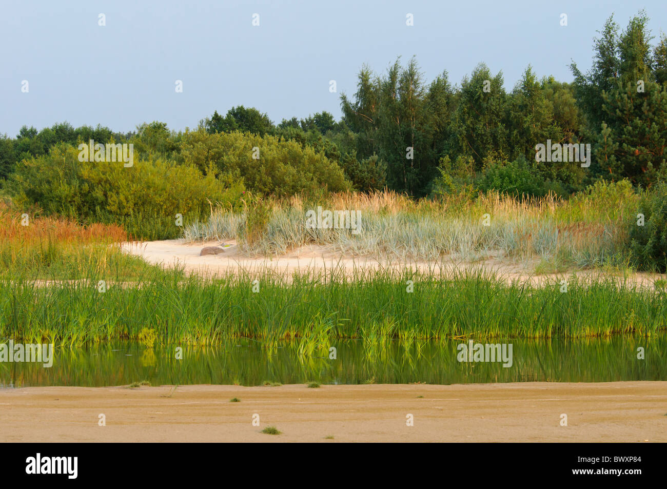 Coastal habitat mosaic in North Vidzeme biosphere reserve, Ainazi ...