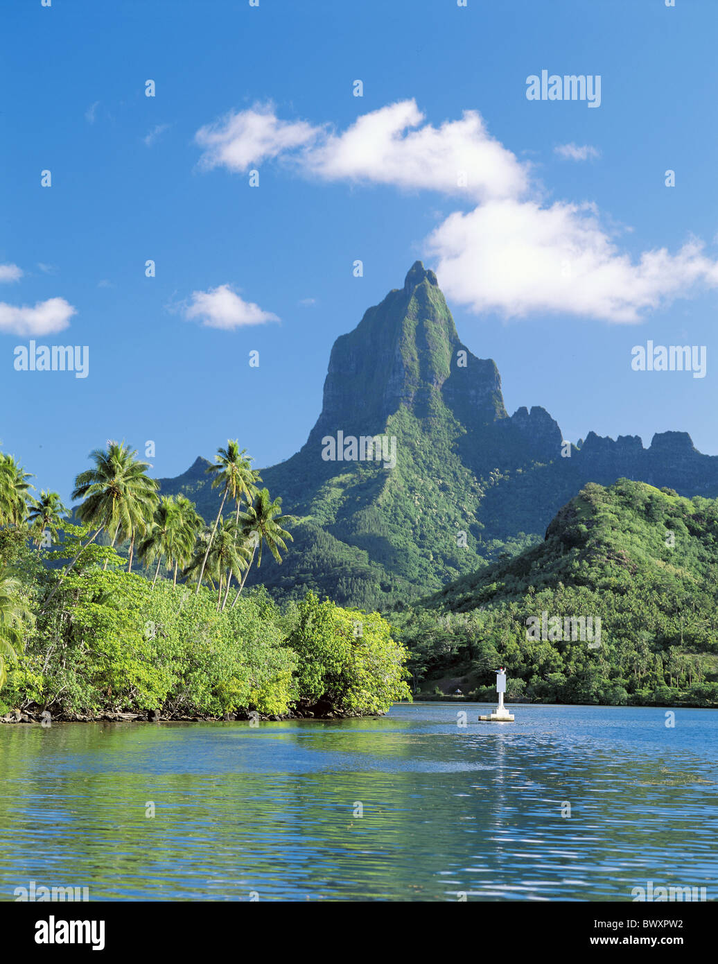 scenery Moorea islands isles Pacific Mouaroa mountain Opunohu Bay palms ...