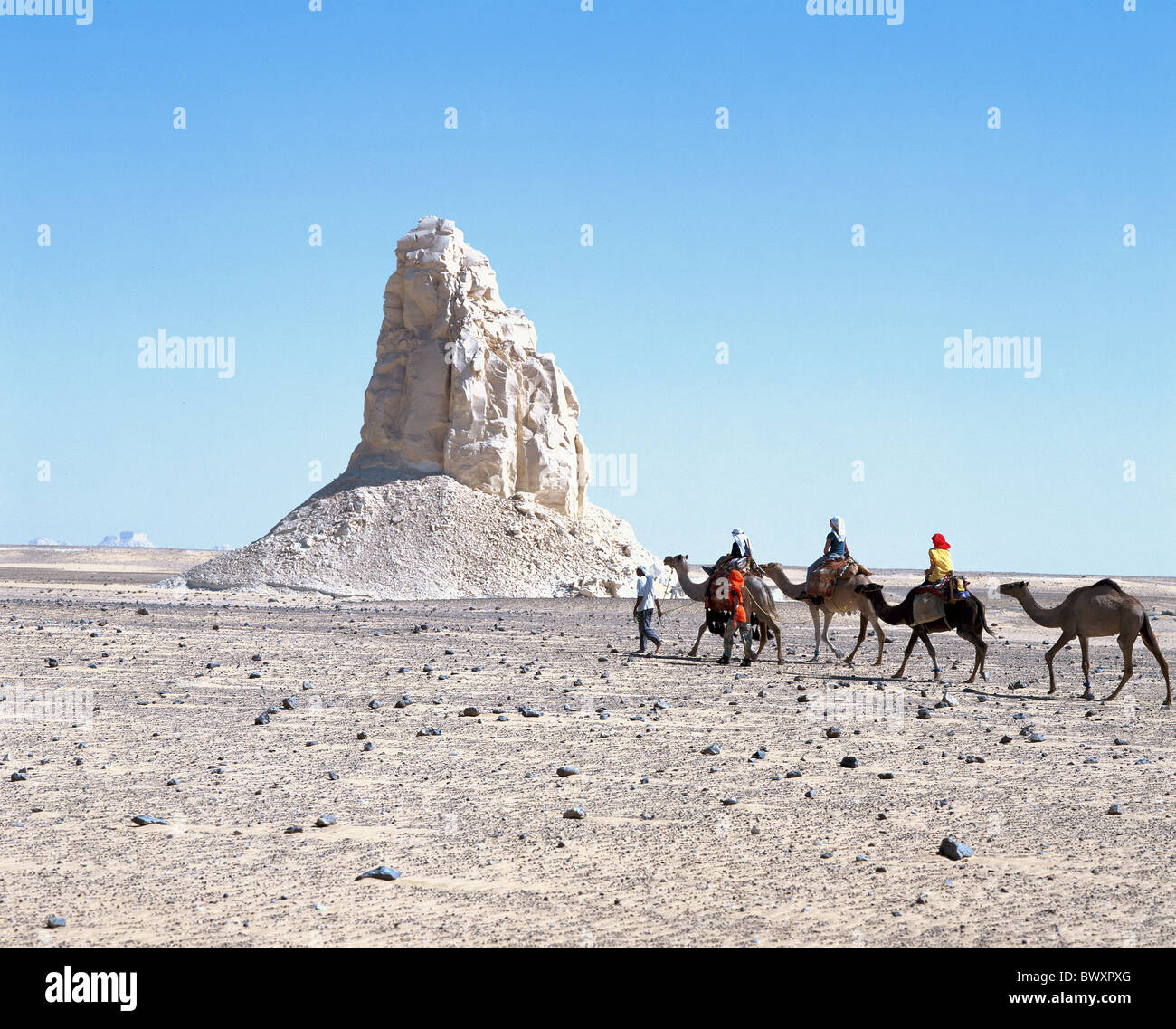 Egypt North Africa rock cliff cliff formation camel trekking camel ...