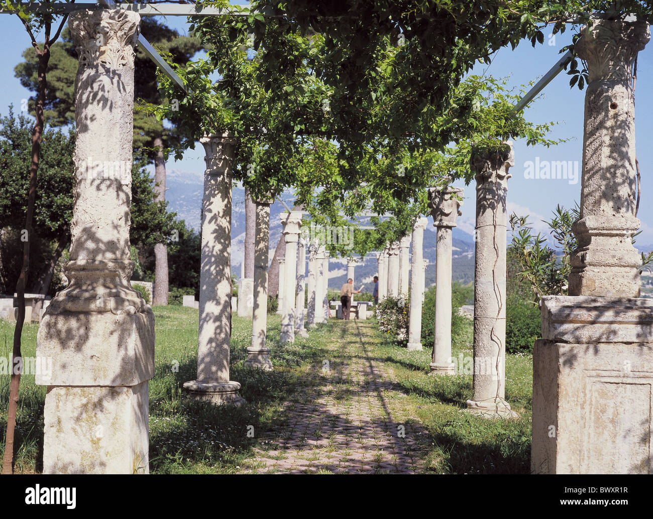 Croatia culture Split columns Roman pergola meadow Stock Photo - Alamy