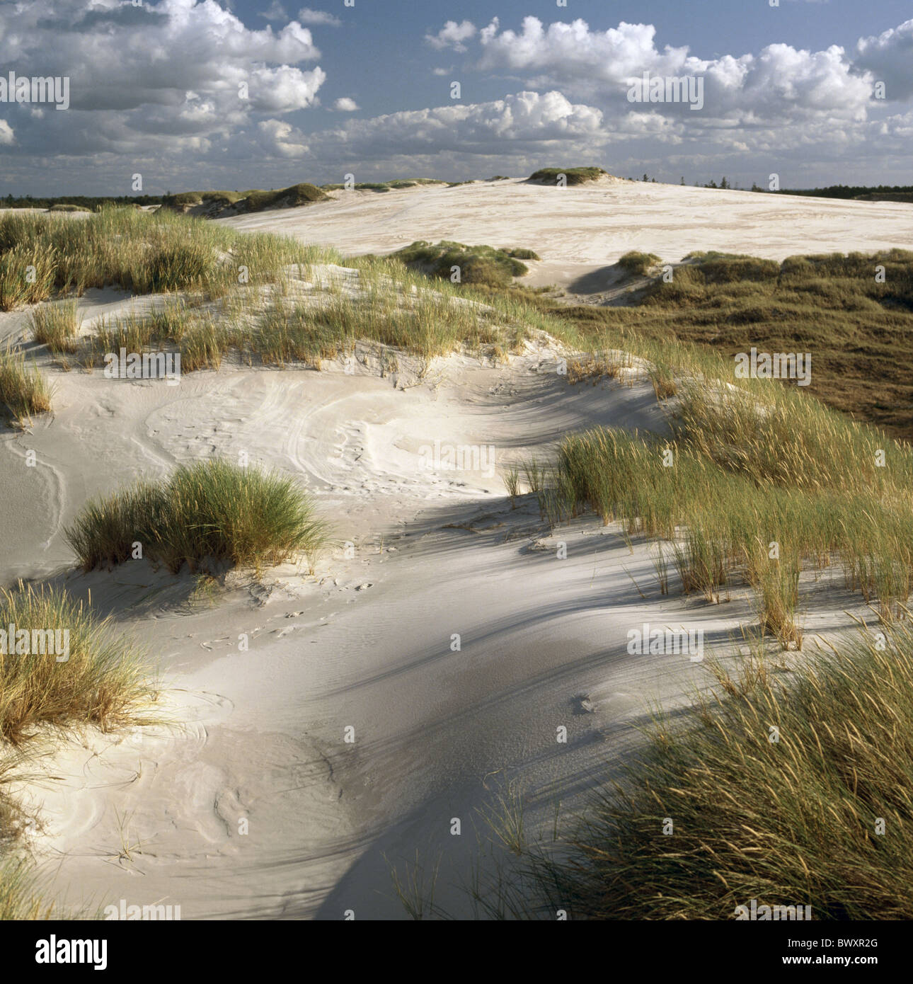 dunes scenery Baltic Sea Poland sand cloud sky Stock Photo - Alamy