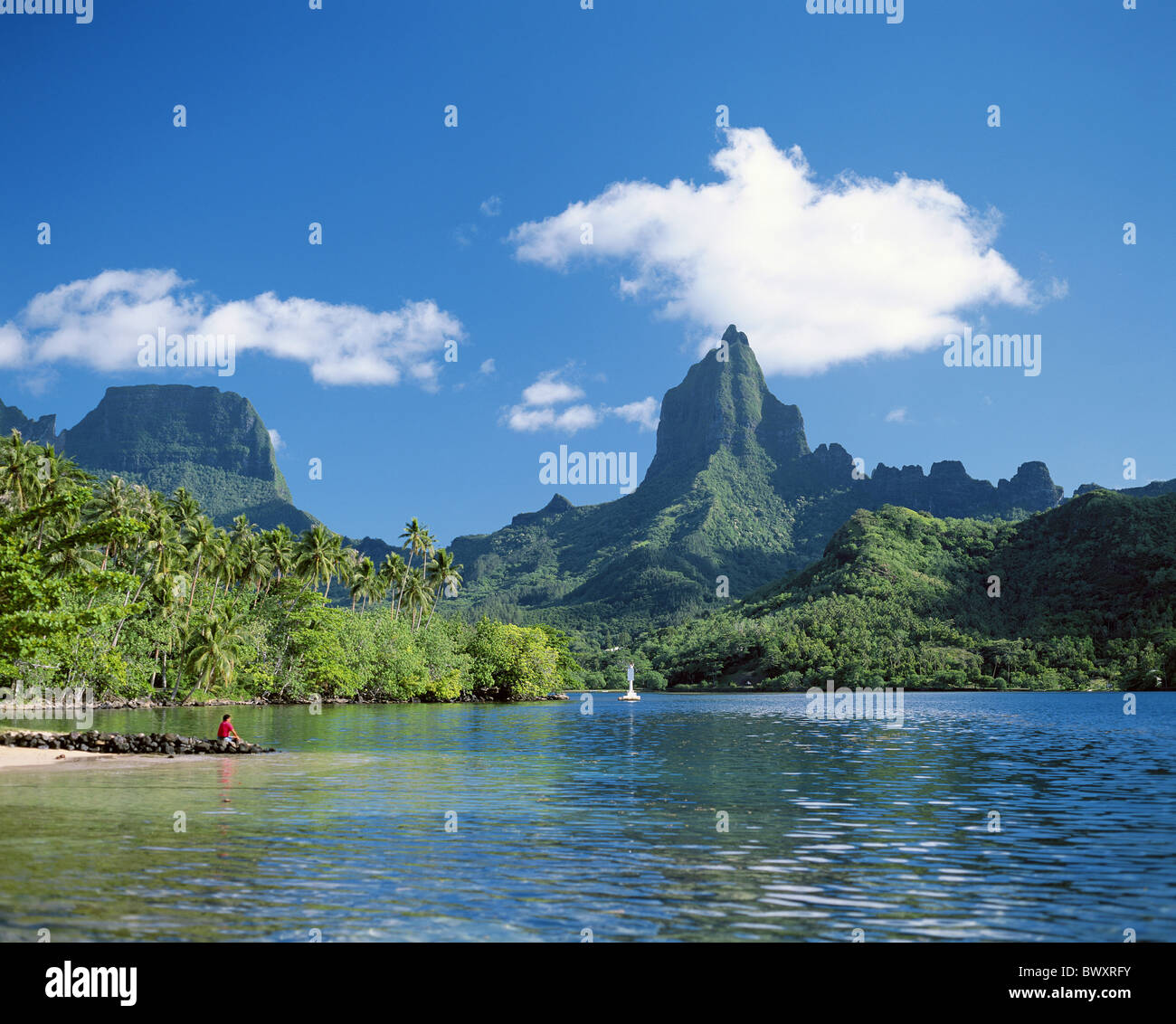 mountains bay green Moorea islands isles Pacific Opunohu Bay palm beach ...
