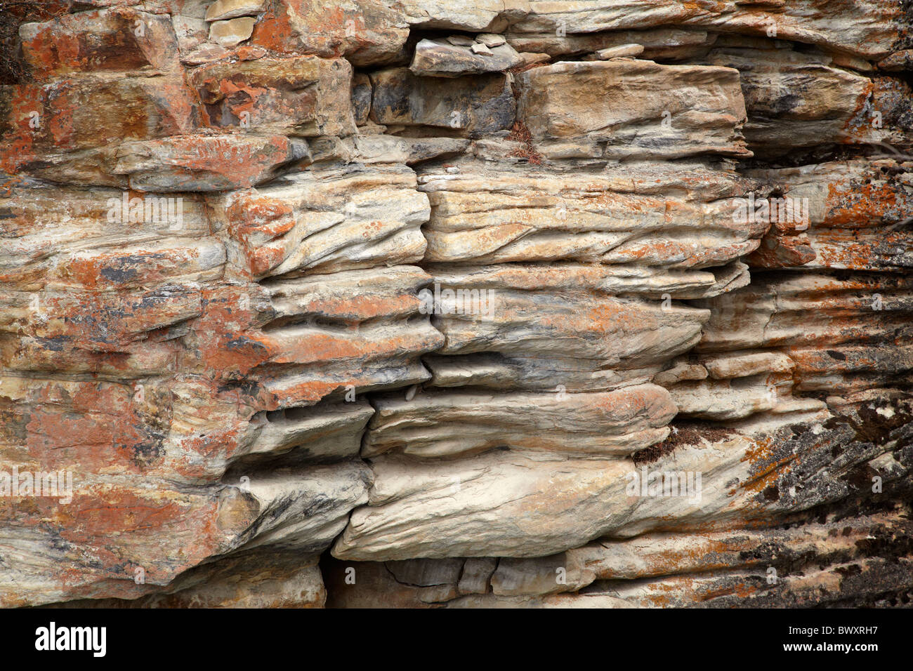 Limestone wall of slot canyon at athabasca falls hi-res stock ...