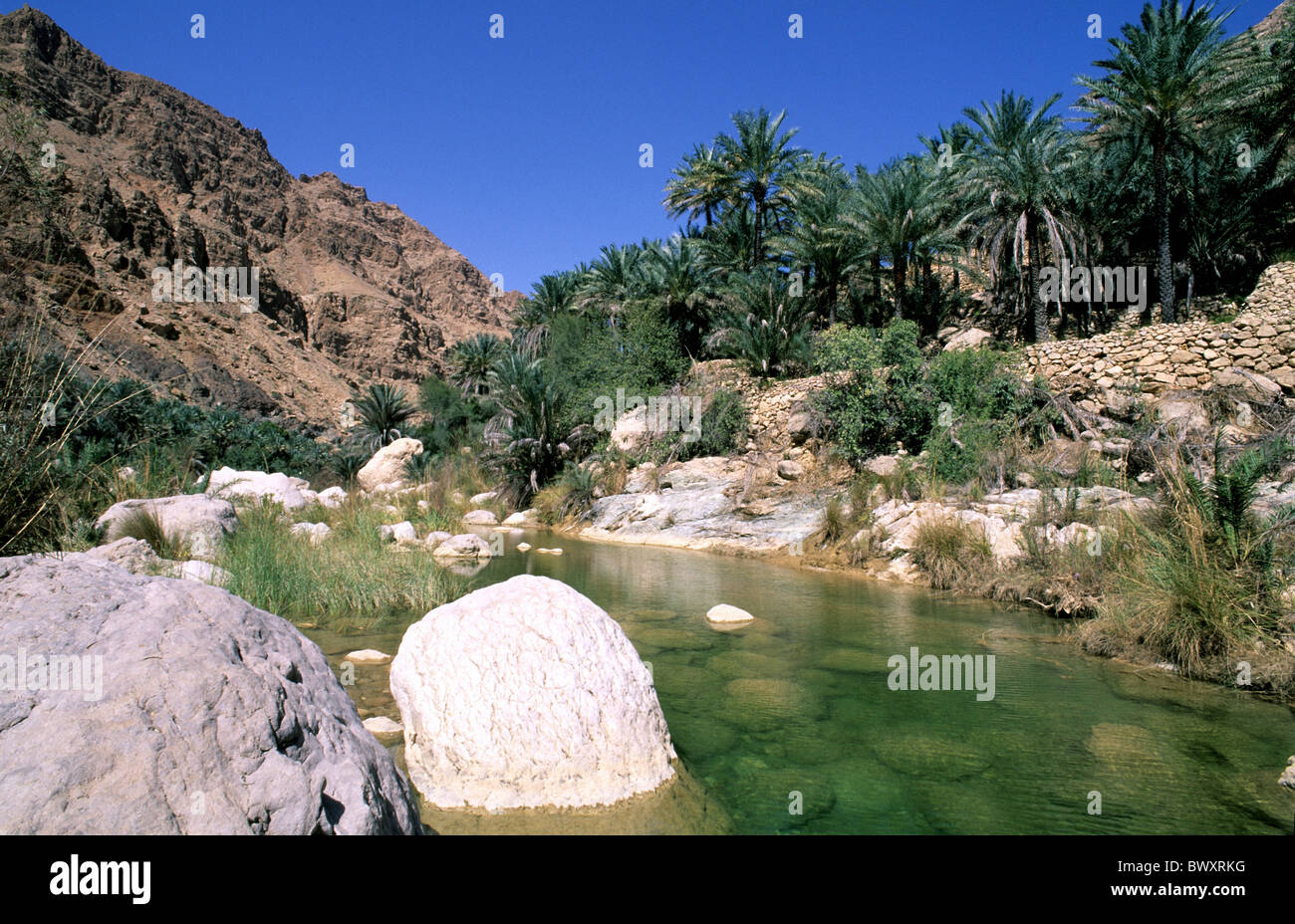 scenery oasis wadi Tiwi Oman UAE Arab Emirates Middle East palms ...