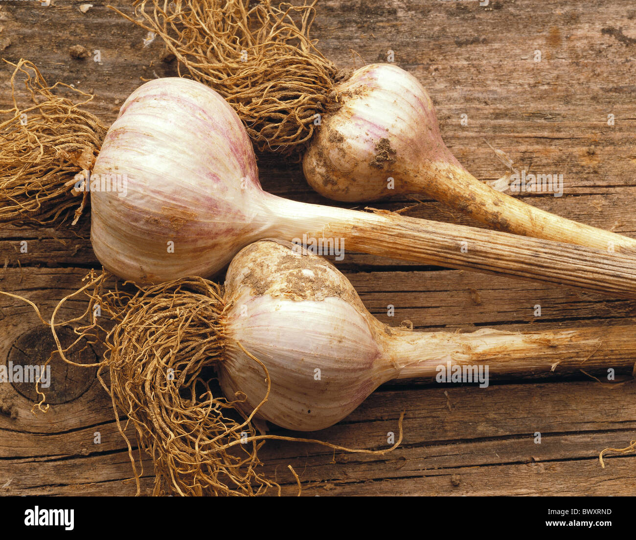 vegetables garlic freshly harvested wooden board roots food eating ...