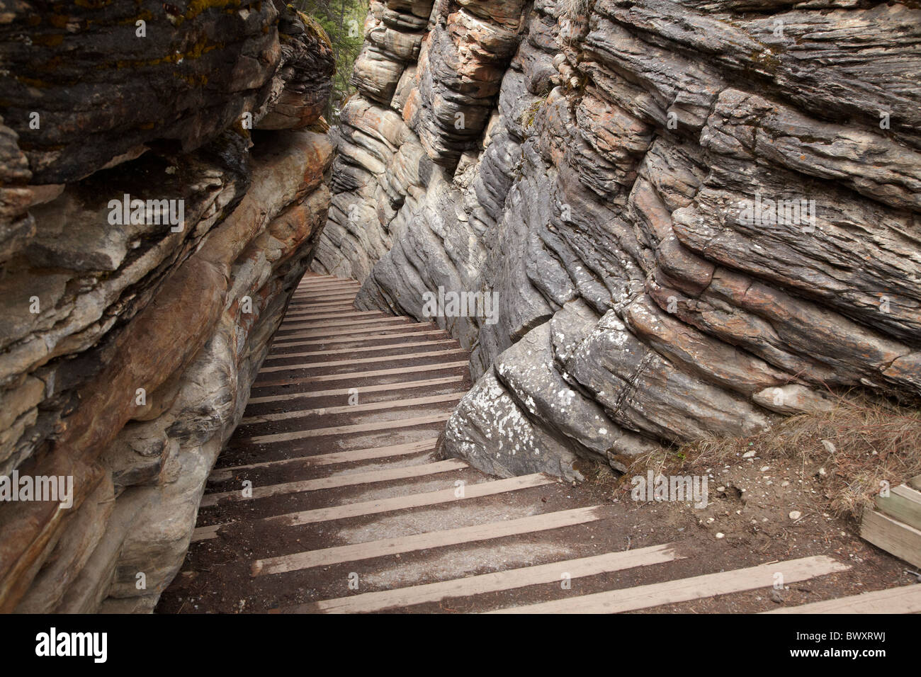 Stairs through gap eroded in limestone layers, Athabasca Falls, by ...