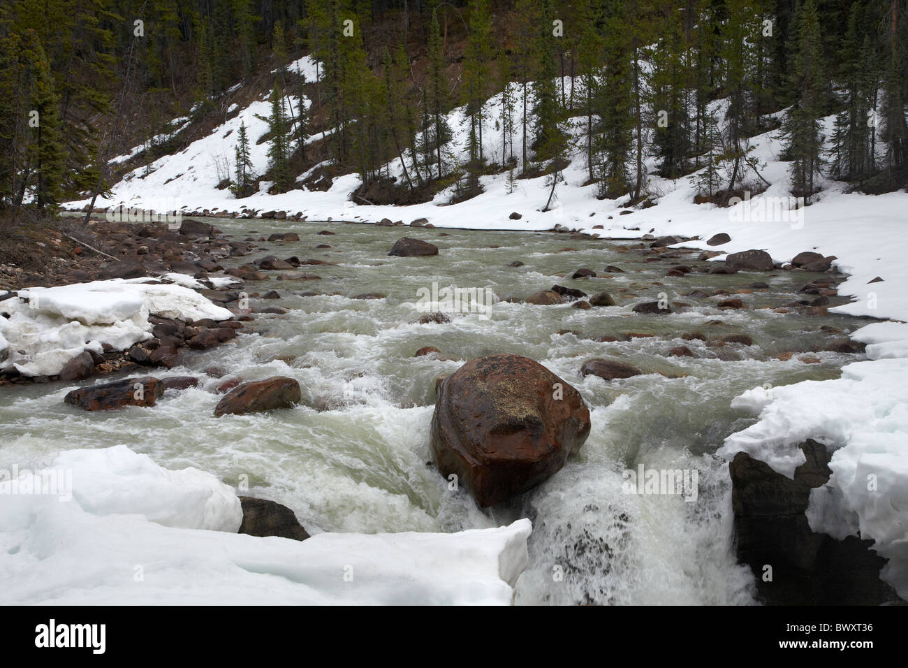 Sunwapta River and Falls in winter, by Icefields Parkway, Jasper ...