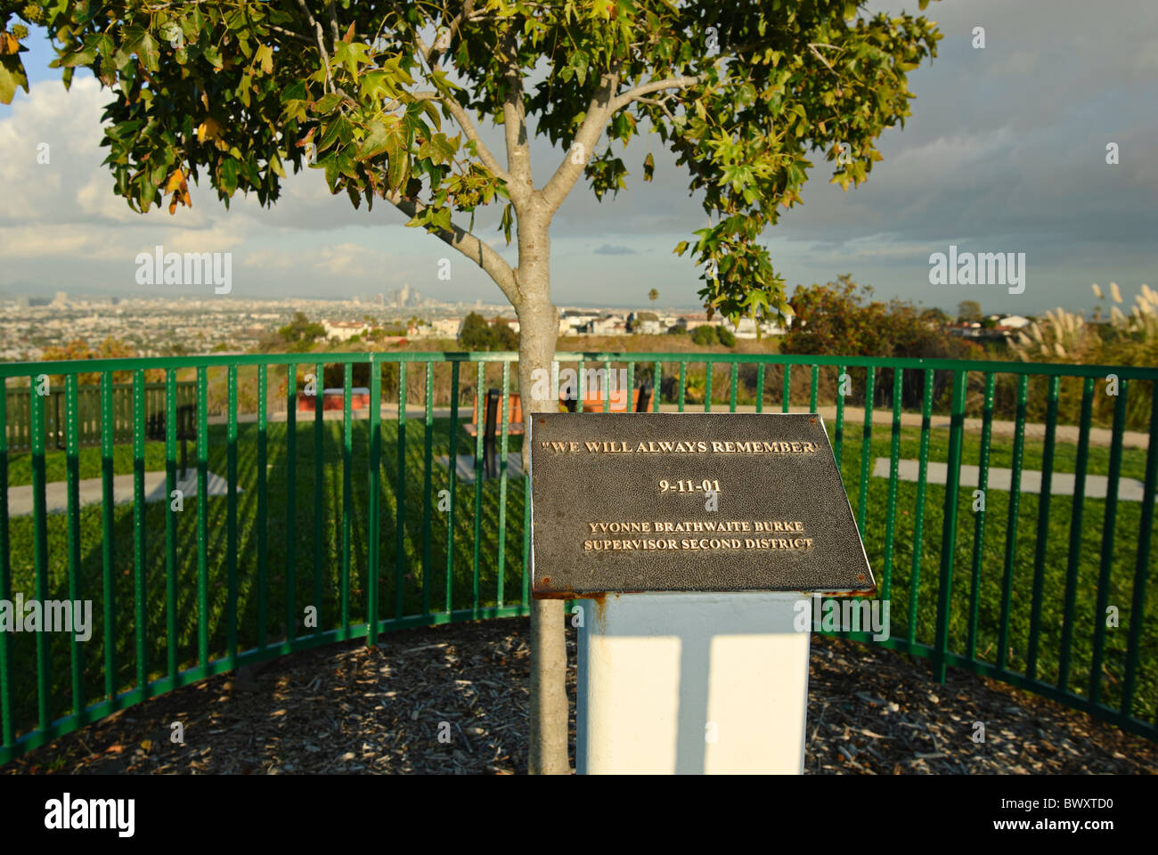 September 11th memorial tree in remembrance of the terrorist attack on ...