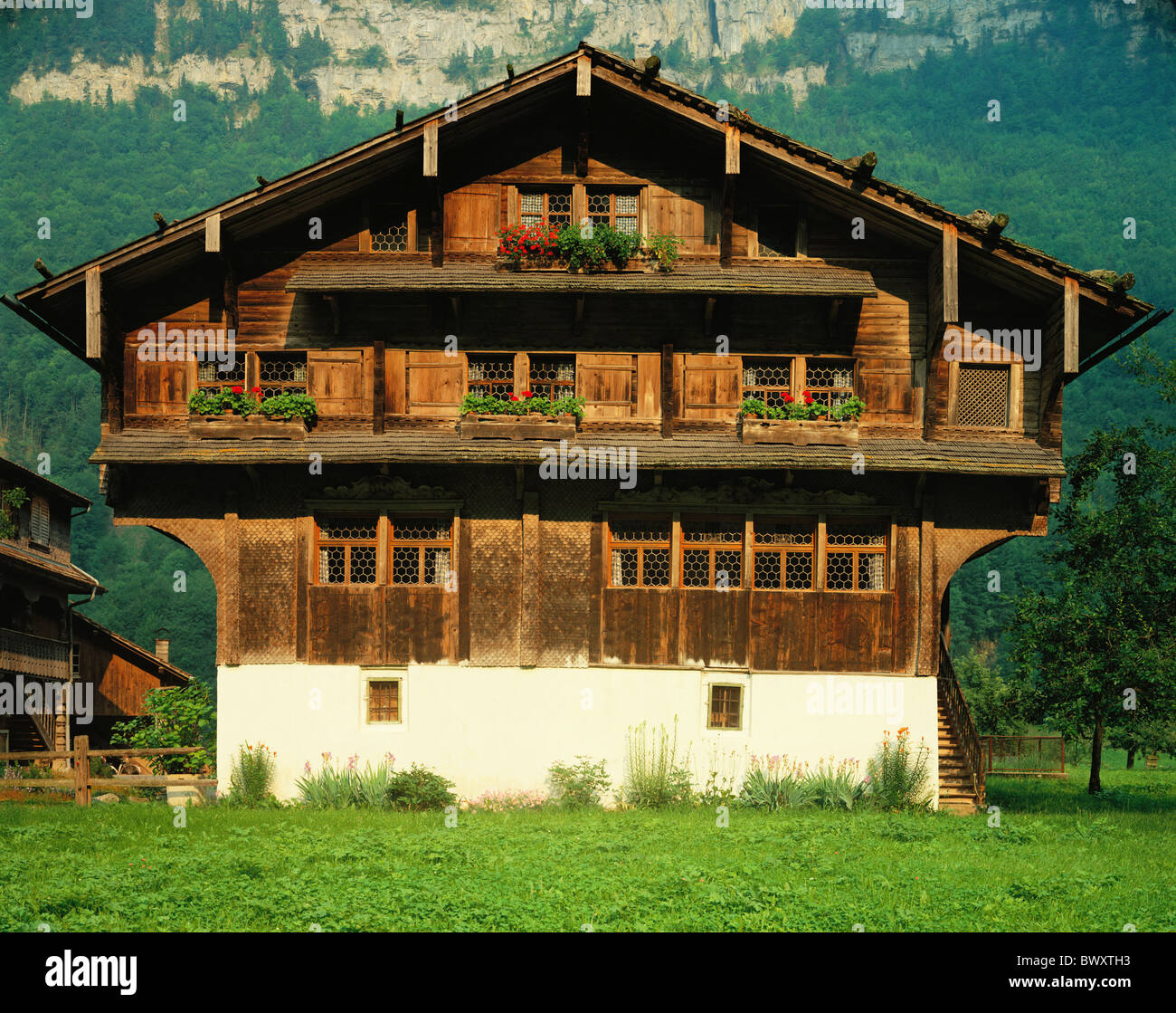 farmhouse chalet bull's eyes foundation stone geraniums house home wood ...