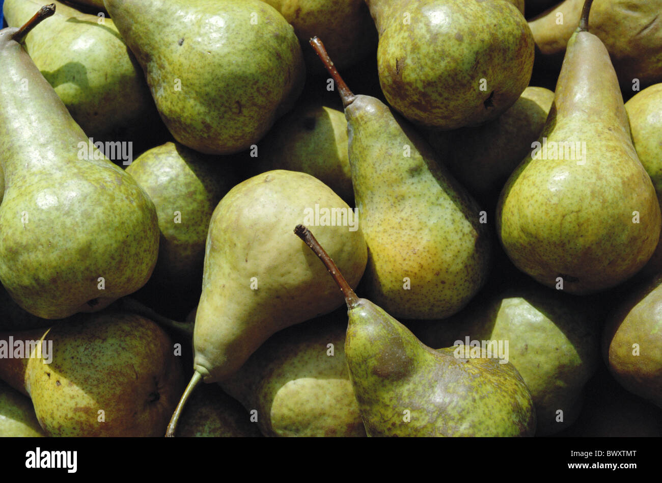 pears light bulbs heaps fruit food fruits Food Stock Photo - Alamy
