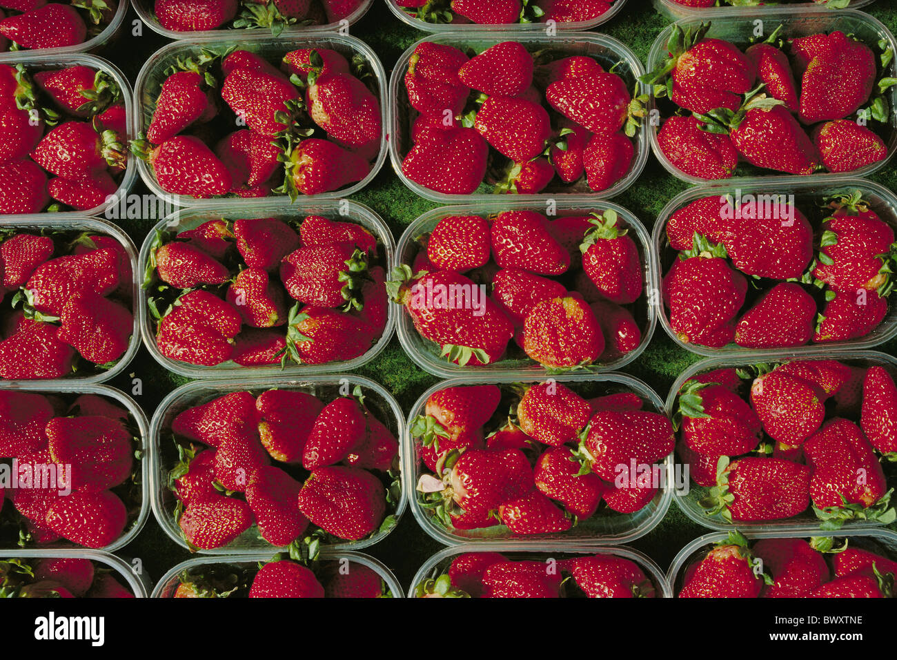 Symmetry of hi-res stock photography and images - Alamy