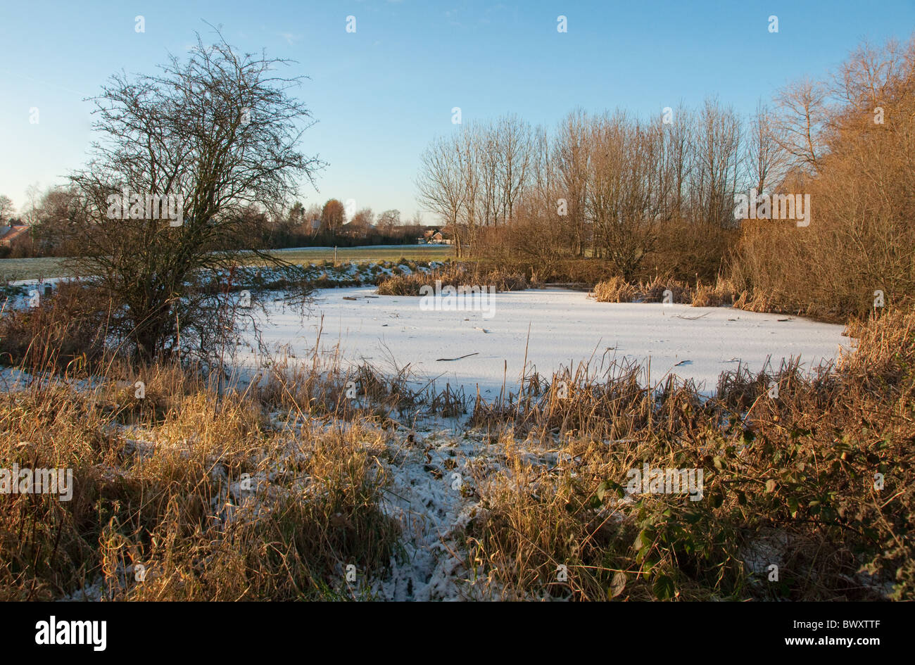 Frozen pond hi-res stock photography and images - Alamy
