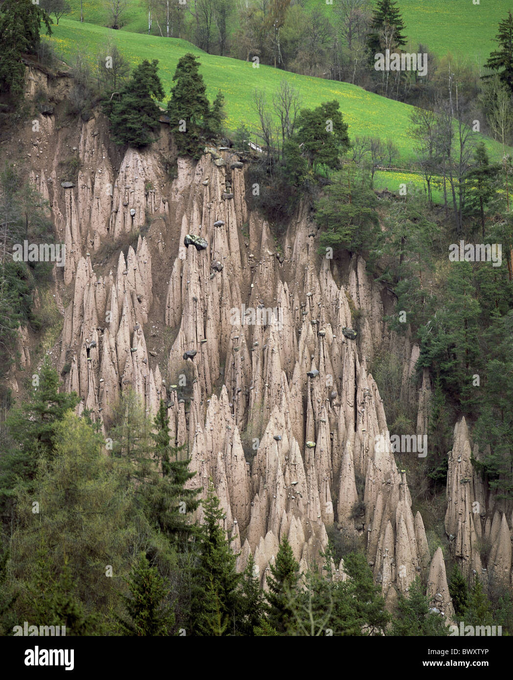 erosion form earth pyramids cones wood forest Italy Europe South Tirol ...