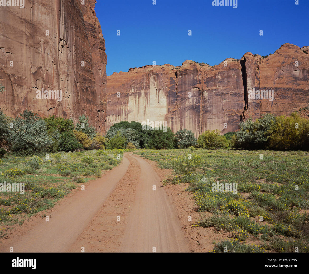 10486282 hi-res stock photography and images - Alamy