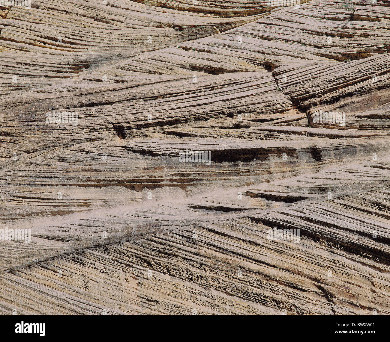 erosion form rock cliff detail structure Checkerboard Mesa USA America ...