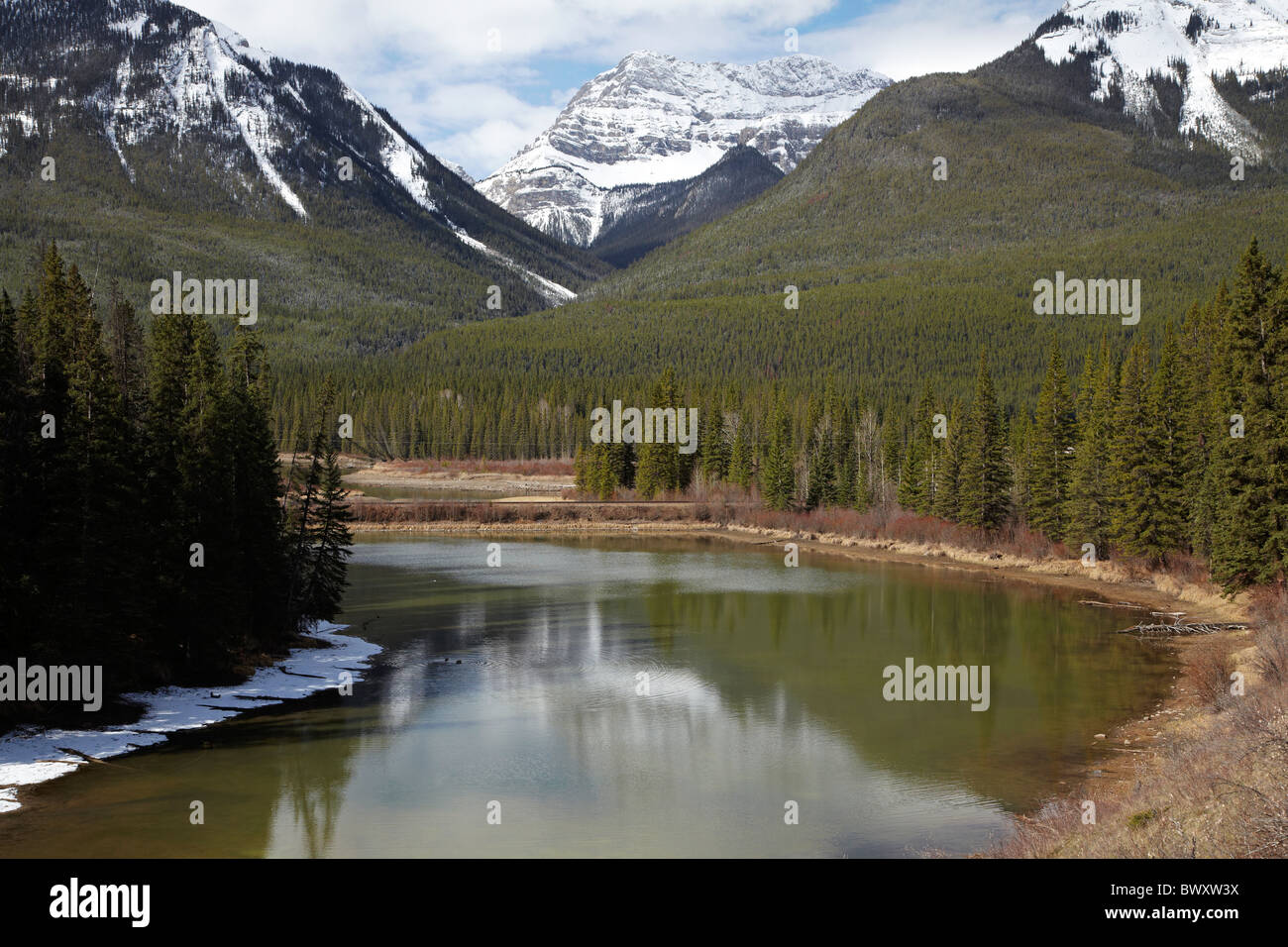 Oxbow bend backwater, Bow River, near Banff, Banff National Park ...