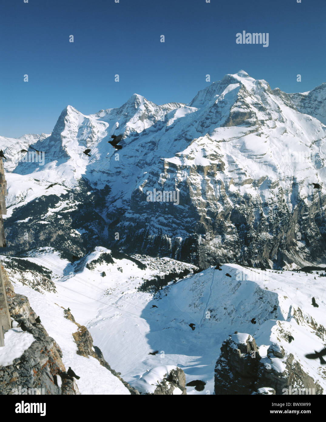 canton Bern Bernese Oberland Switzerland Europe Eiger mountain Jungfrau ...