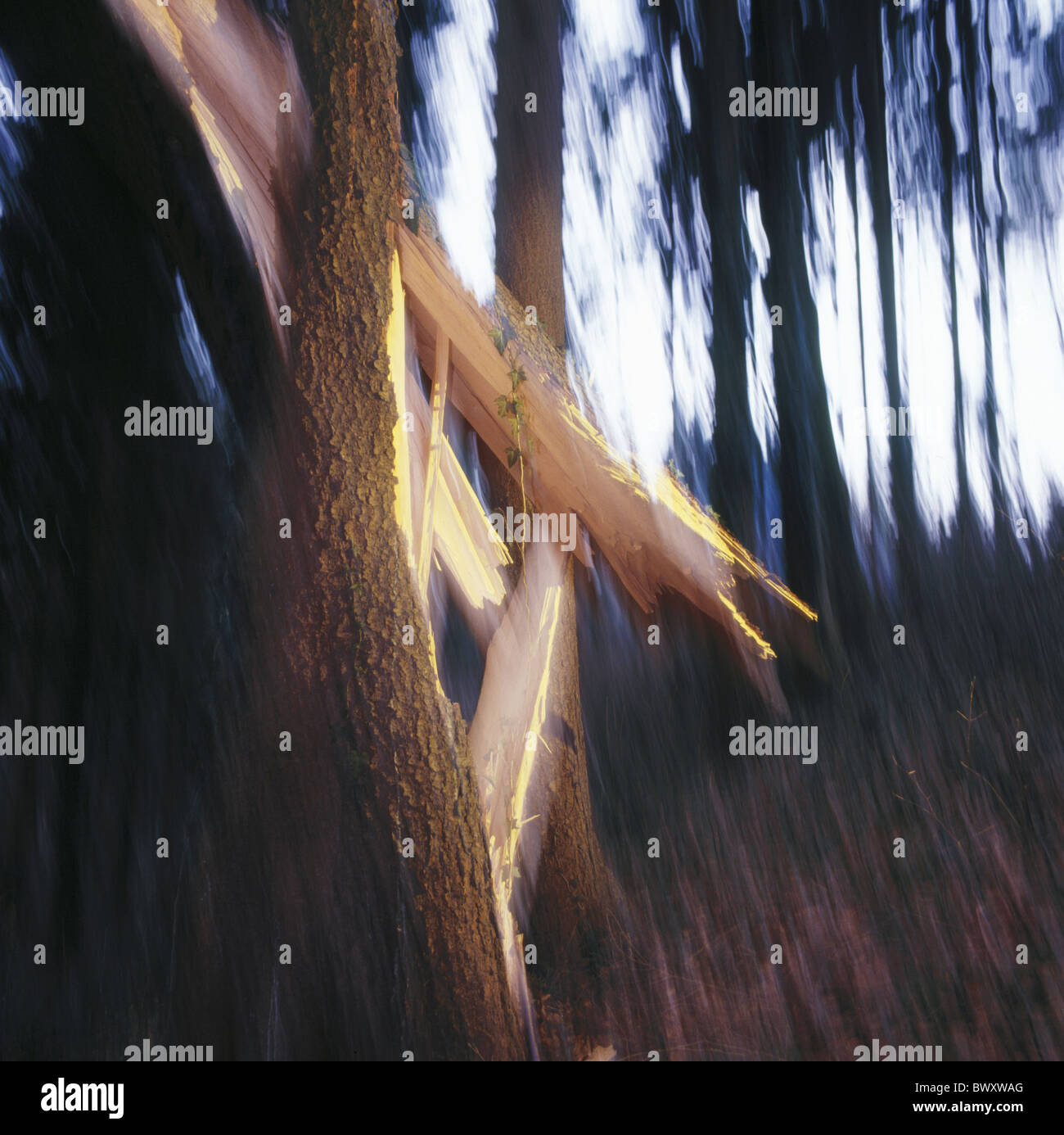 Storm lothar hi-res stock photography and images - Alamy