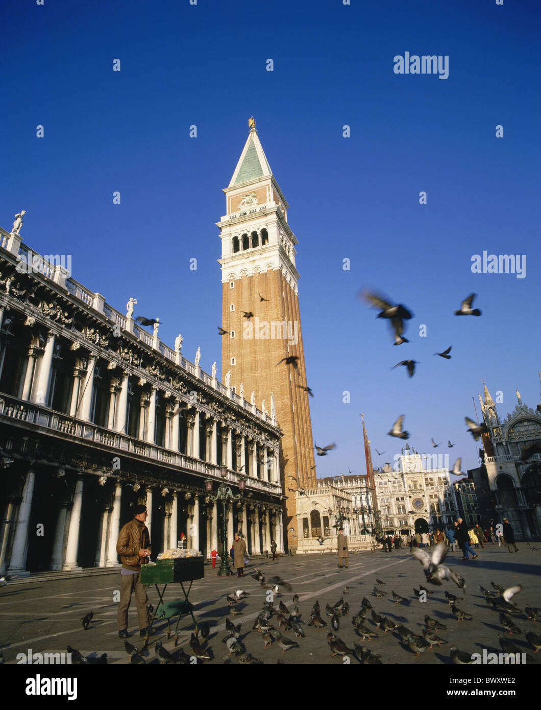 Italy Europe pigeons clock tower Venice landmark Campanile tower Stock ...