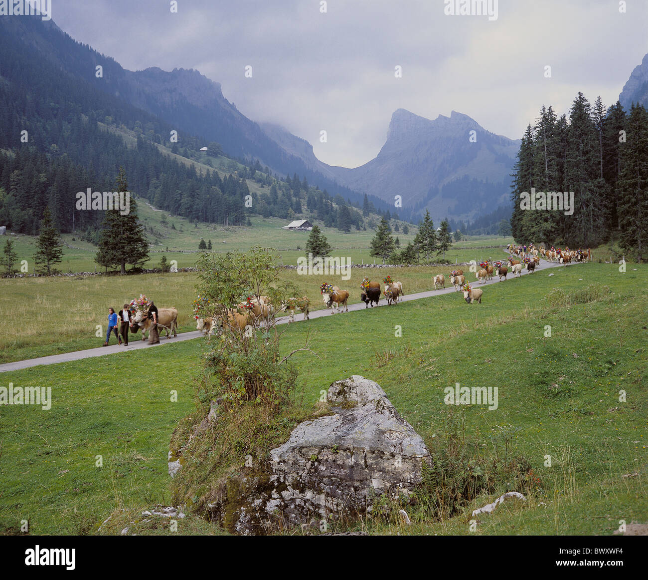 alp elevators Switzerland Europe Justistal canton Bern alp elevator ...