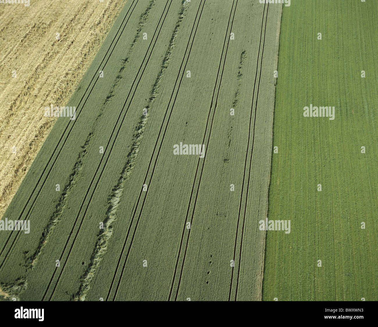 levels plains fields scenery agriculture man-made cultural landscape ...