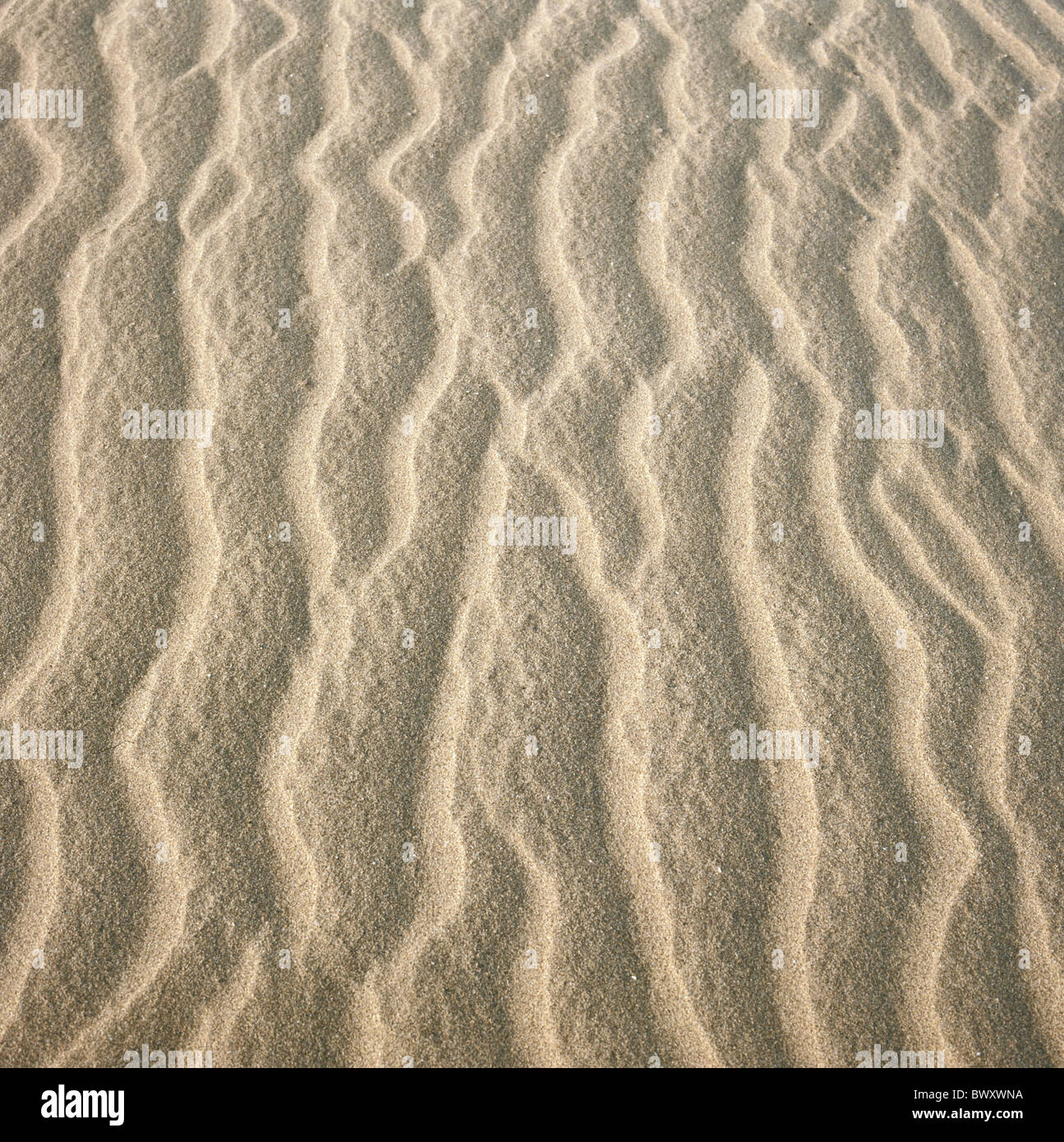 sceneries sand structures ribs dunes patterns samples Stock Photo - Alamy
