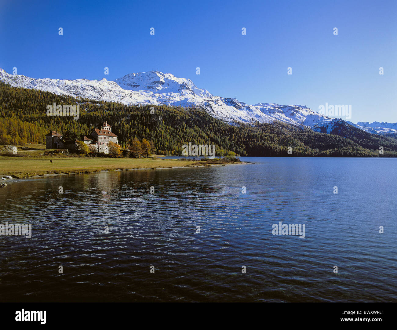 Switzerland Europe Graubunden Grisons Engadine Silvaplanersee Piz ...