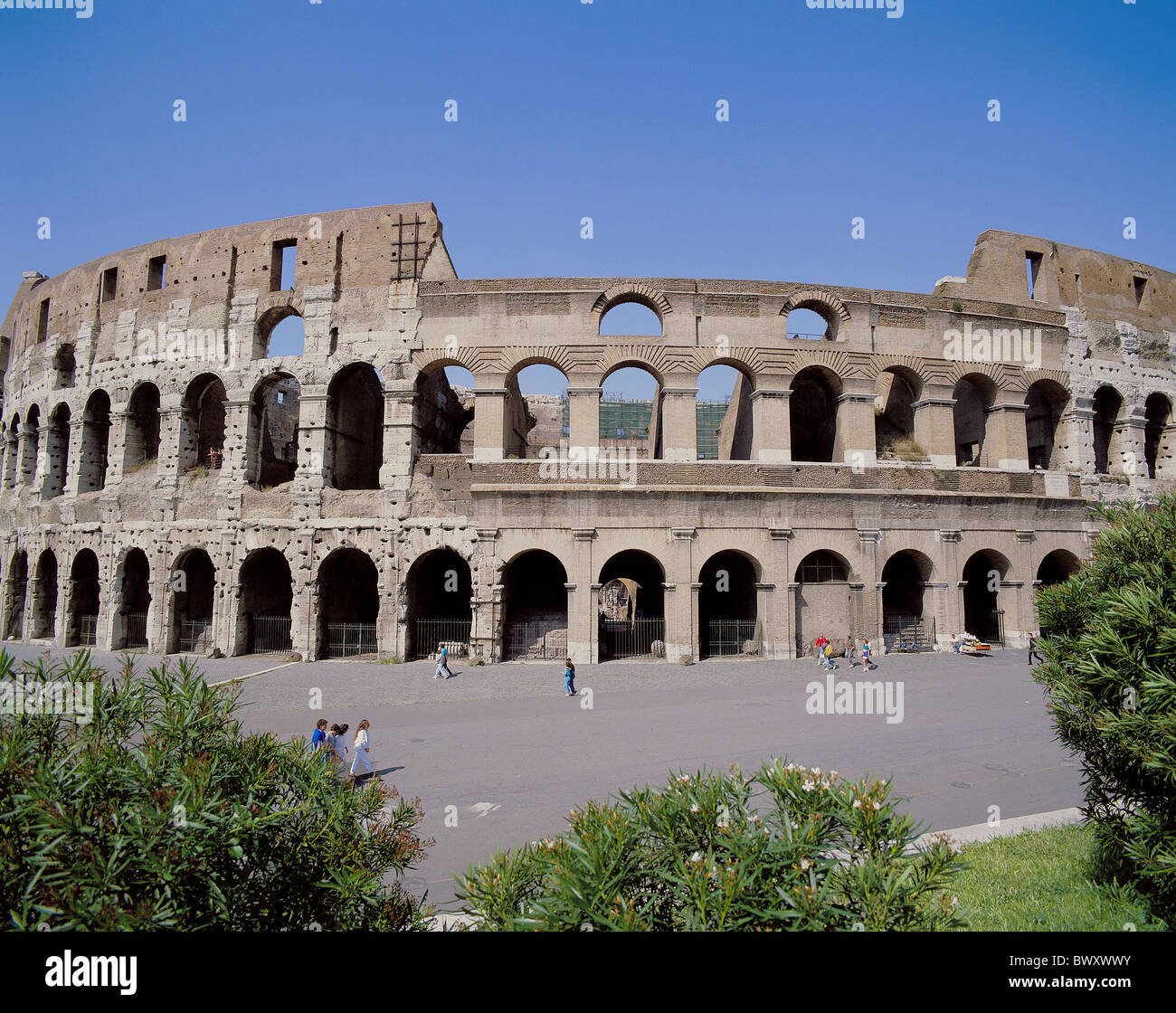 Plants ancient hi-res stock photography and images - Alamy