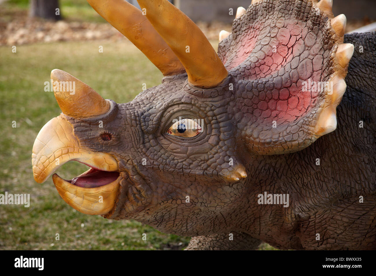 Triceratops Dinosaur Statue, Drumheller, Alberta, Canada Stock Photo ...