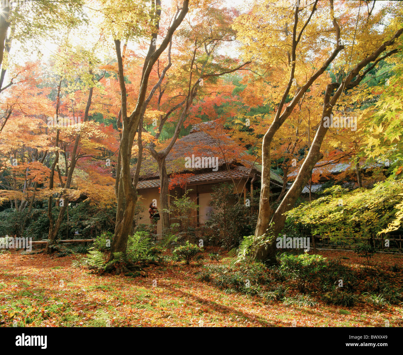 Gyoji hi-res stock photography and images - Alamy