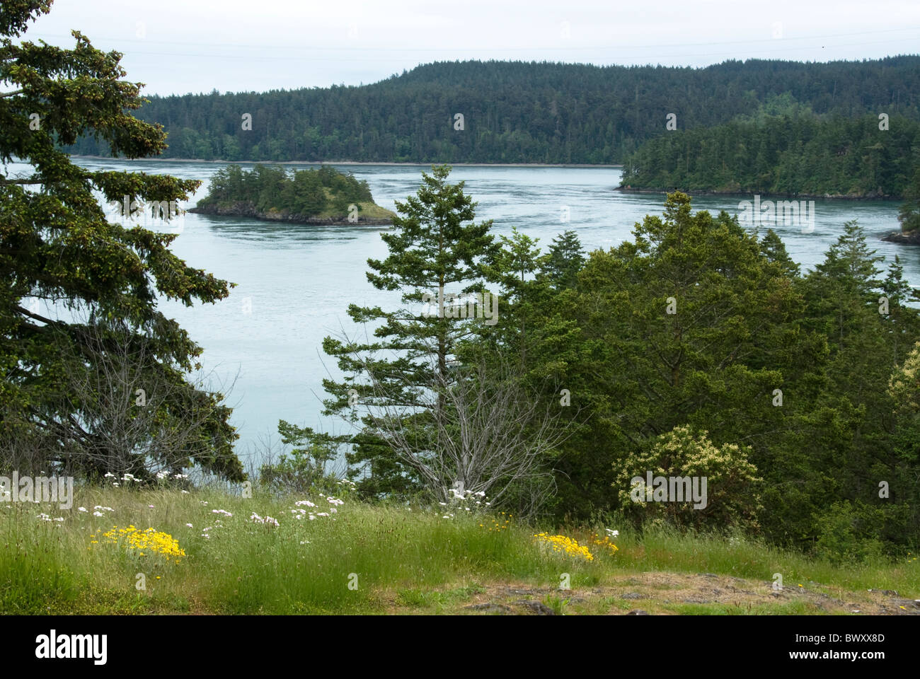 Scenic View at Deception Pass Stock Photo - Alamy