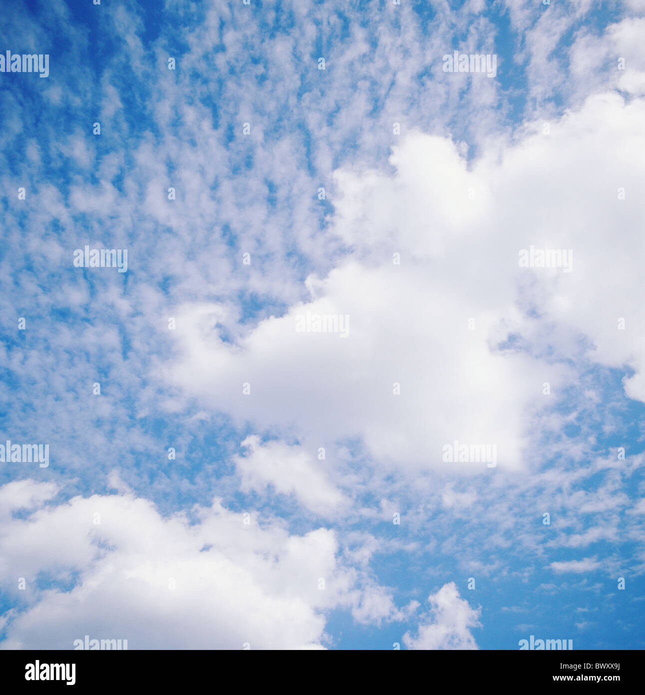 Altocumulus Cumulus clouds weather white blue sky Stock Photo - Alamy