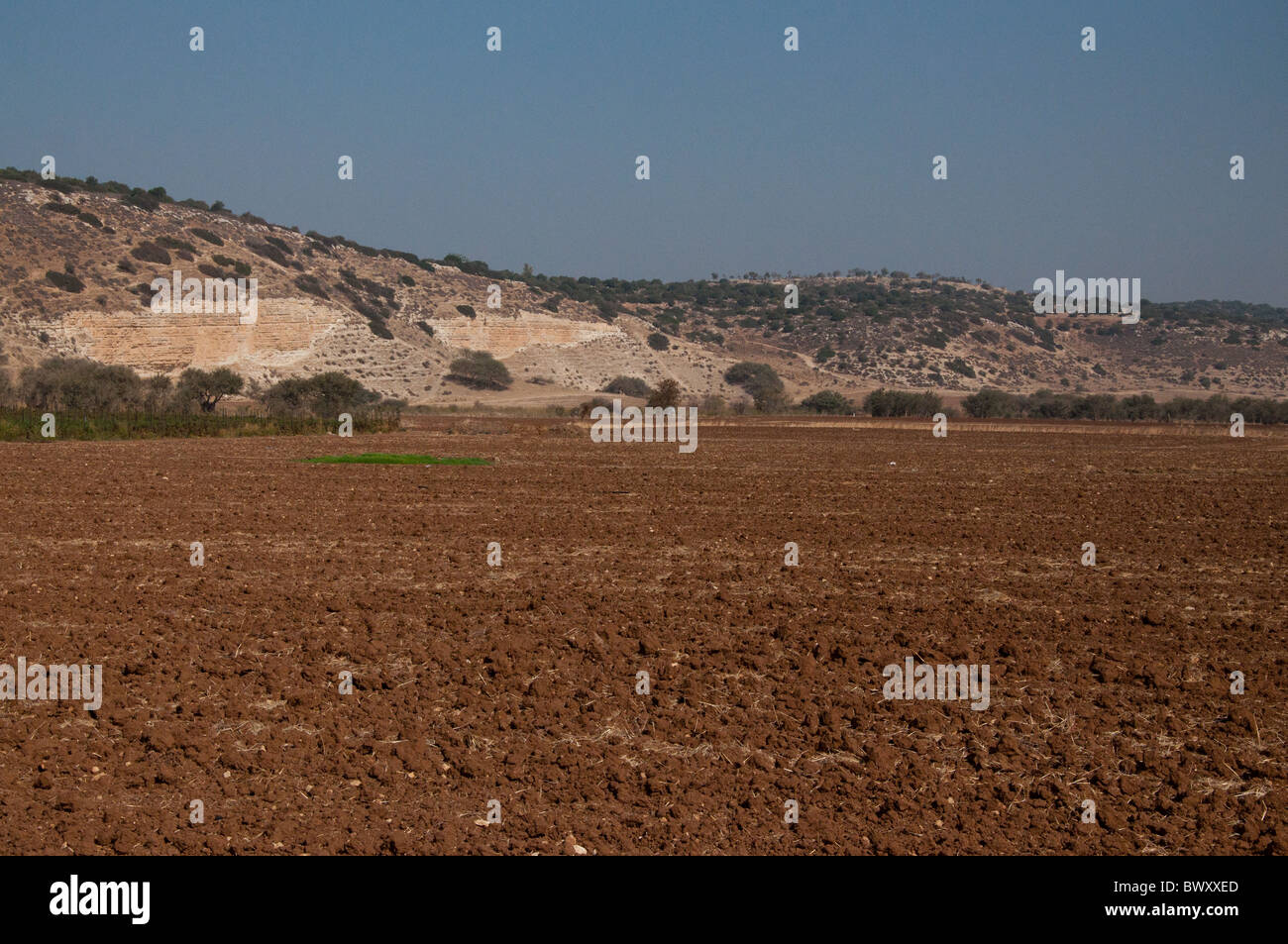The valley of Elah where David fought Goliath Stock Photo - Alamy