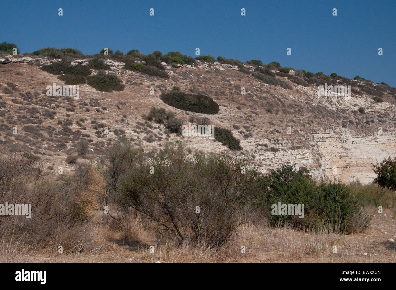 The valley of Elah where David fought Goliath Stock Photo - Alamy