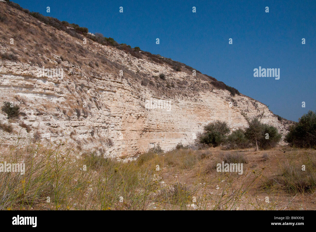 In The Valley Of Elah