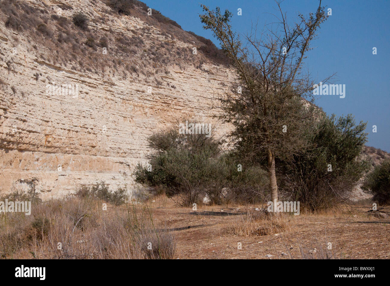 The valley of Elah where David fought Goliath Stock Photo - Alamy
