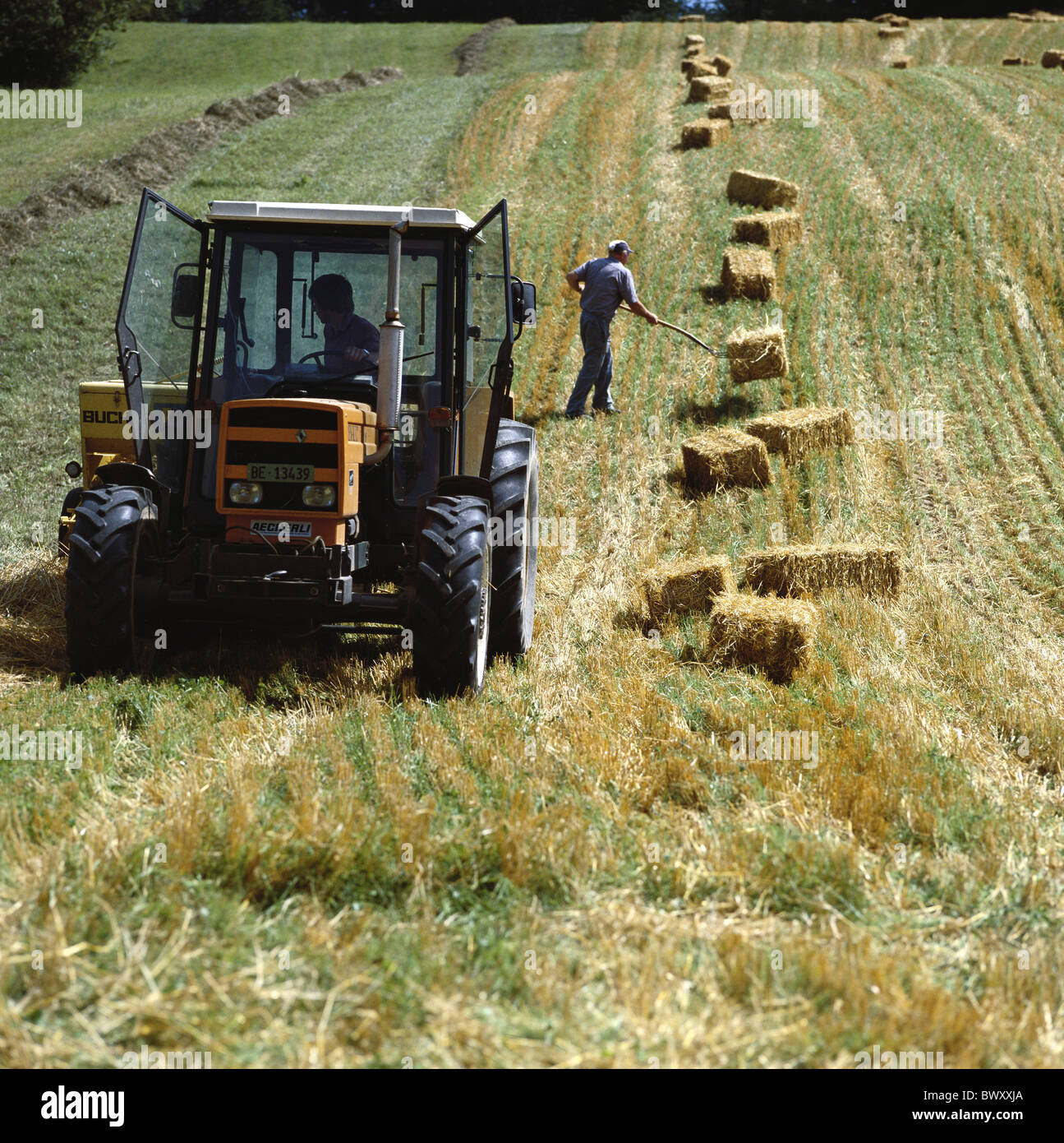 agriculture cage harvest crop by machine field fields straw bales straw ...