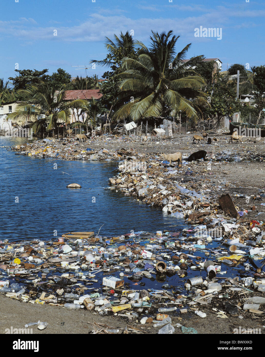 slums Saint Lucia Caribbean Caribbean Vieux fort rubbish waste water ...