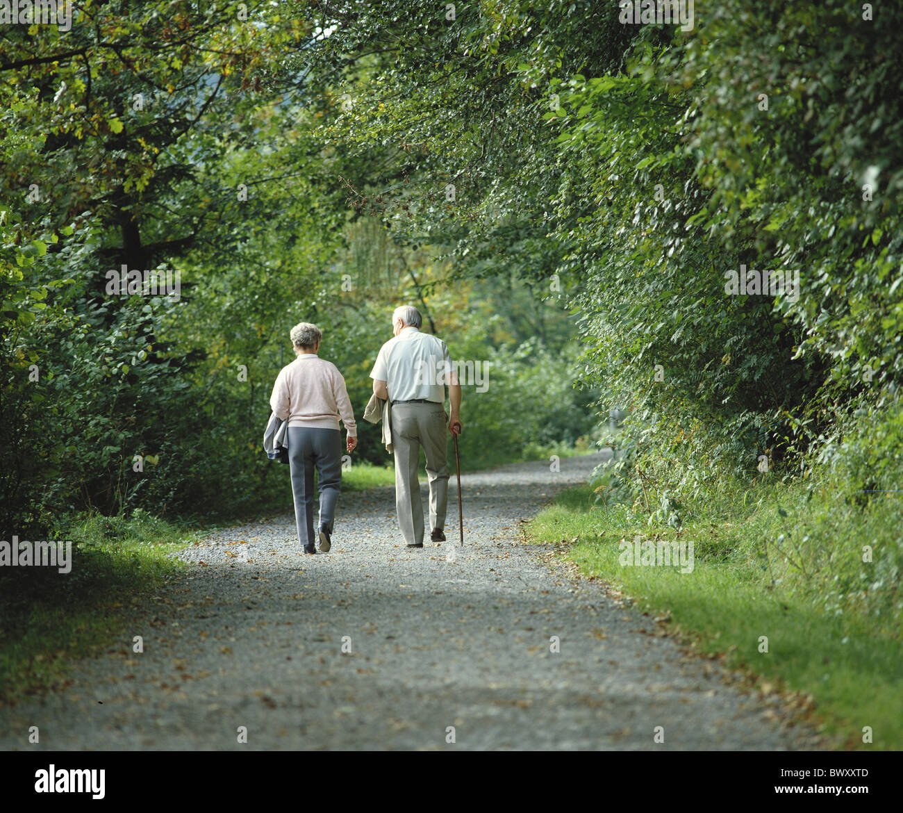 person nature walk pair couple walk wood forest way forest road Stock ...