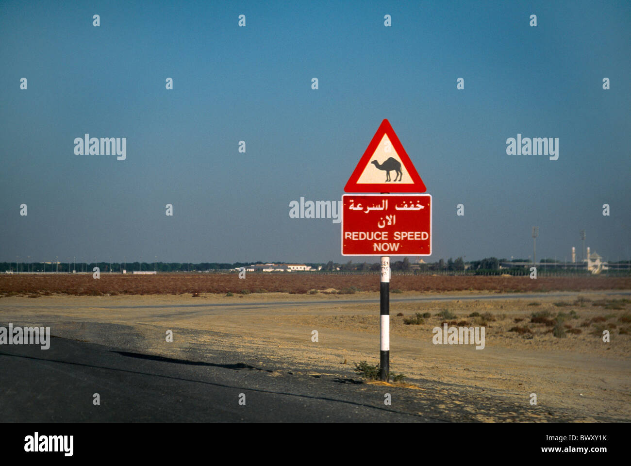 Dubai UAE Road Sign for Reducing Speed in Arabic & English Stock Photo ...
