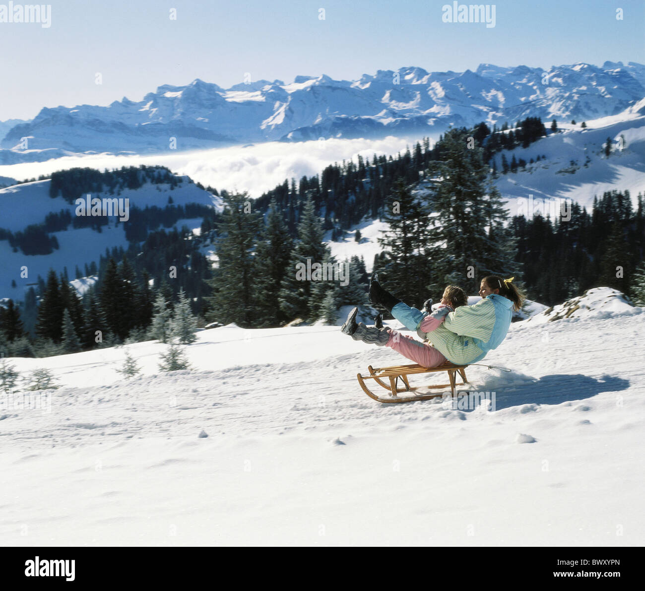 action family sledge winter sledge sleigh sledges winter sports sport ...