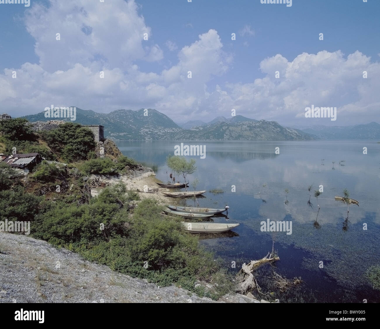 Montenegro scenery Skutari lake sea boats typical lake sea Stock Photo ...