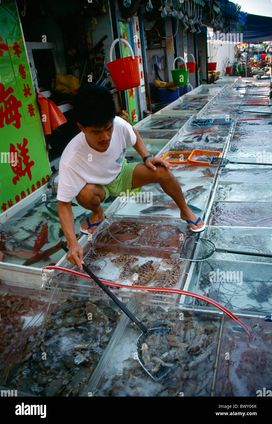 scooping fish from tray market cheung chow hong kong Stock Photo - Alamy