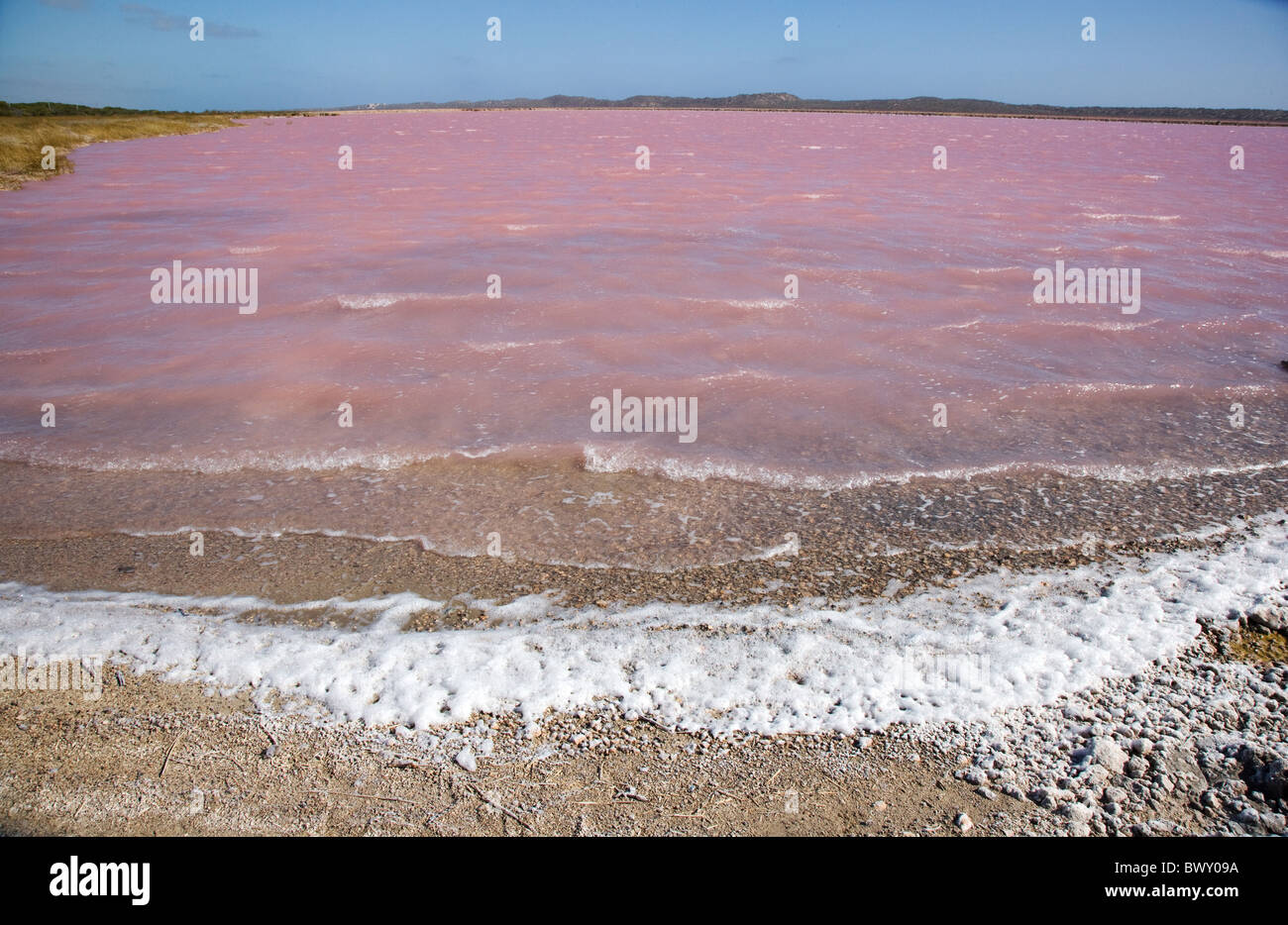 Pink Lake near Port Gregory on the coast of Western Australia whose ...