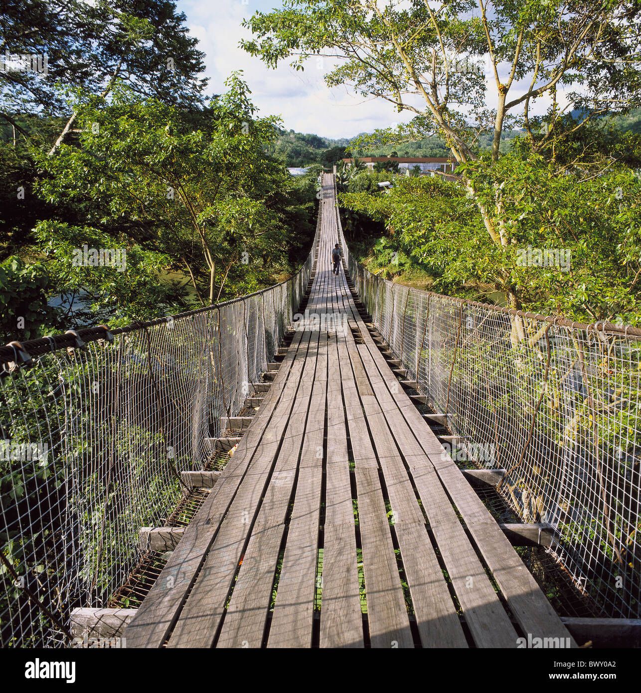 bridge primitive Malaysia Asia east Sabah suspension bridge primeval ...