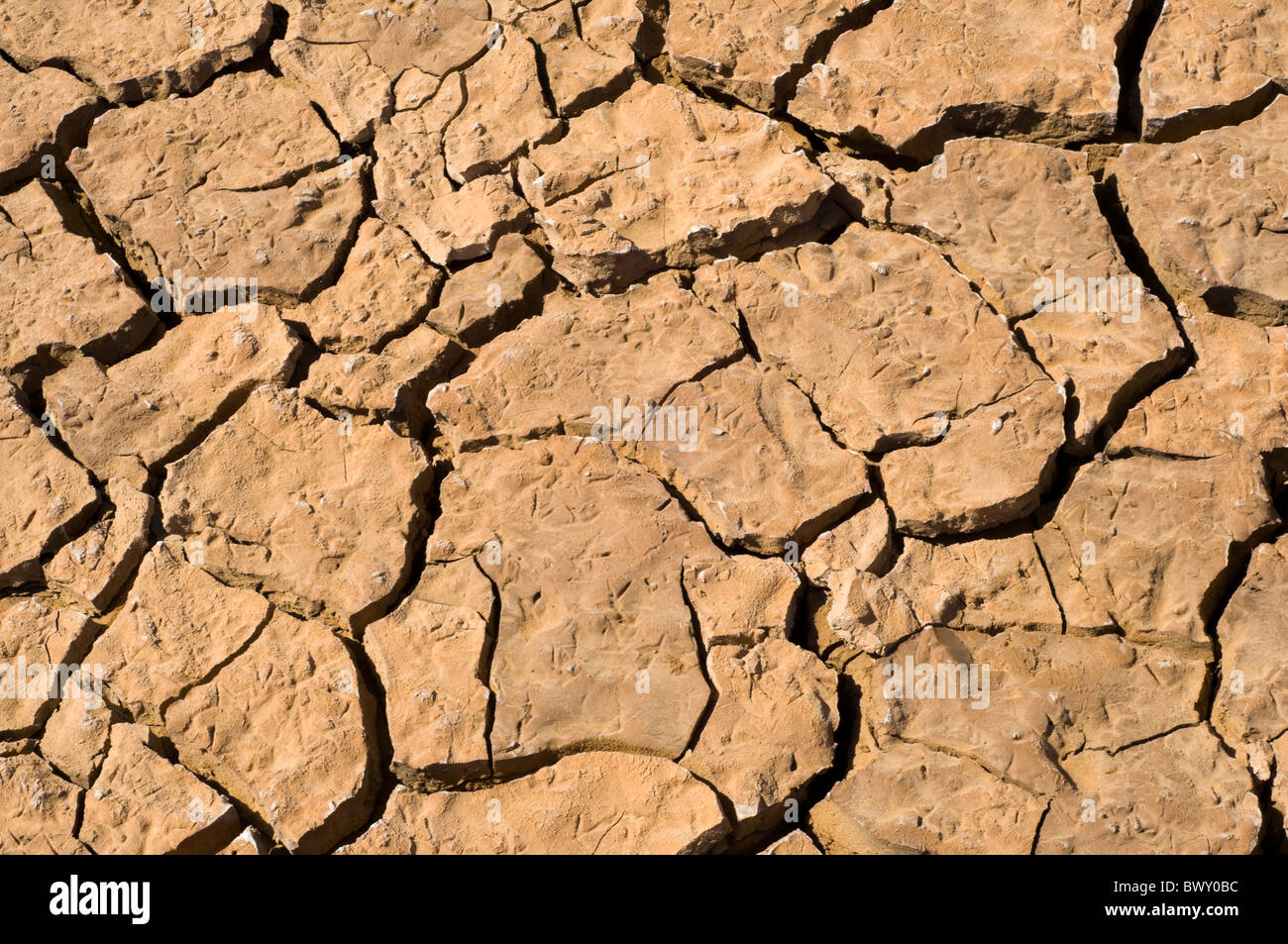 Cracked ground close-up Stock Photo - Alamy