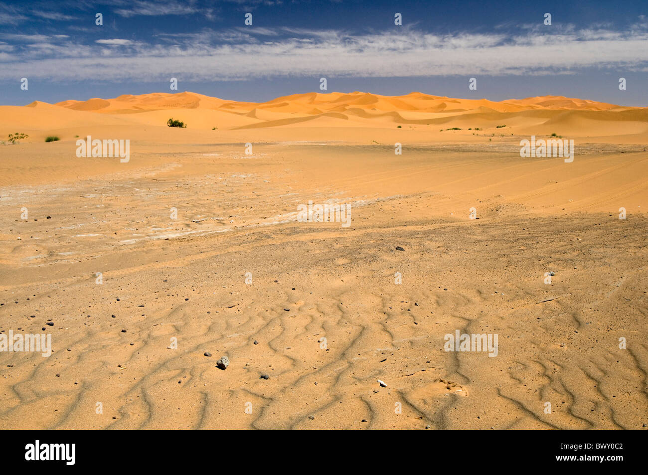 Panoramic view of the sahara desert. Best of Morocco Stock Photo - Alamy